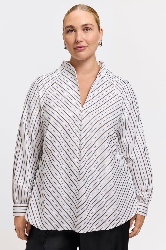 Daphne Plus Metallic Stripe Long Sleeve Popover Shirt – Foxcroft